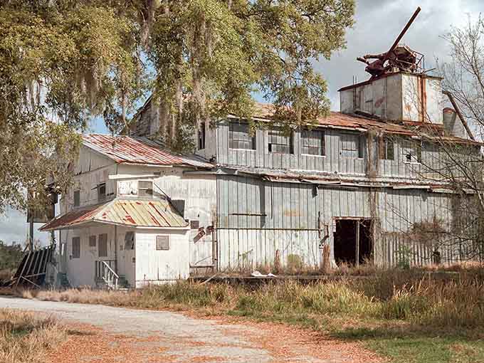 Even abandoned buildings tell stories here, this old grain depot standing as a weathered witness to Brooksville's agricultural heritage.