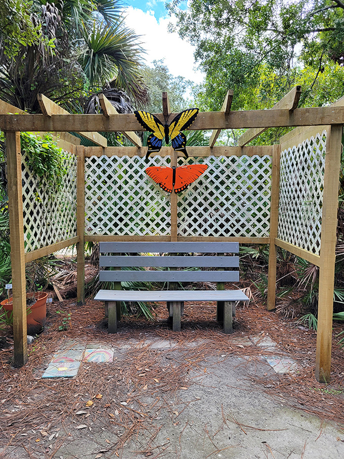 A butterfly garden bench offers front-row seats to nature's most delicate aerial ballet, where winged jewels perform daily.