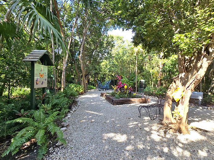 Dappled sunlight plays across the butterfly garden's gravel paths, where native plants create a buffet for colorful winged visitors throughout the year.