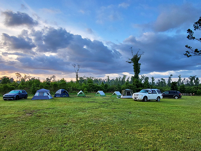 Campers create temporary homes under Florida skies, where nighttime brings stars and the distant hoots of barred owls.