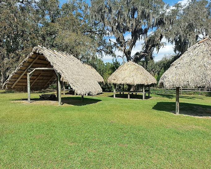 Chickee huts showcase indigenous ingenuity, with thatched roofs and open sides perfectly adapted to Florida's punishing summer heat.