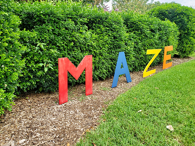 Colorful letters spell "MAZE" against lush greenery, offering kids the rare opportunity to get lost without parents completely panicking.