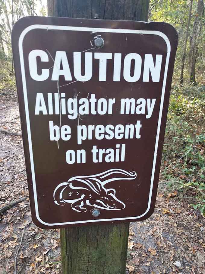 This sign offers Florida's version of a friendly warning: alligators might be present, so maybe don't pet the logs that blink.