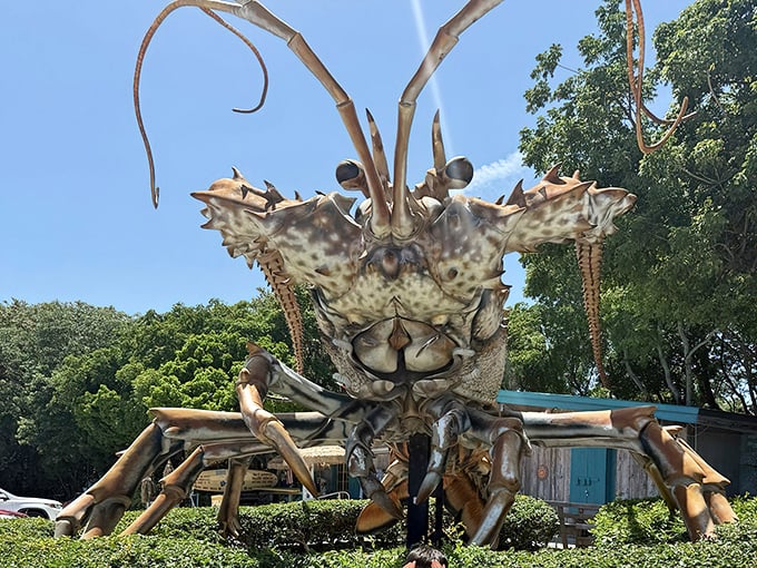 Betsy the lobster stands tall in all her crustacean glory, like the Keys' answer to Mount Rushmore but with more antennae and attitude.