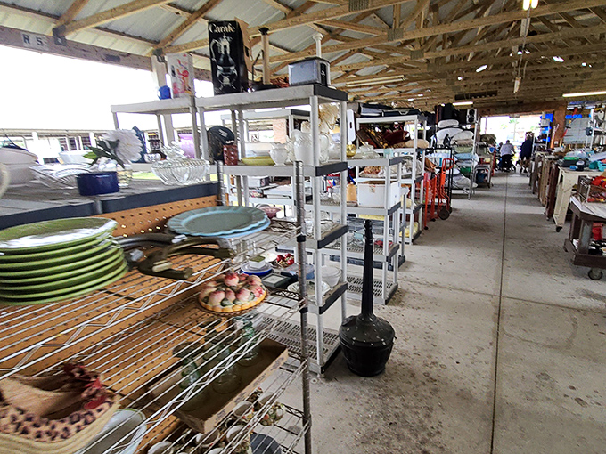 Colorful plates and forgotten serveware catch the light, waiting for someone to recognize their retro charm.
