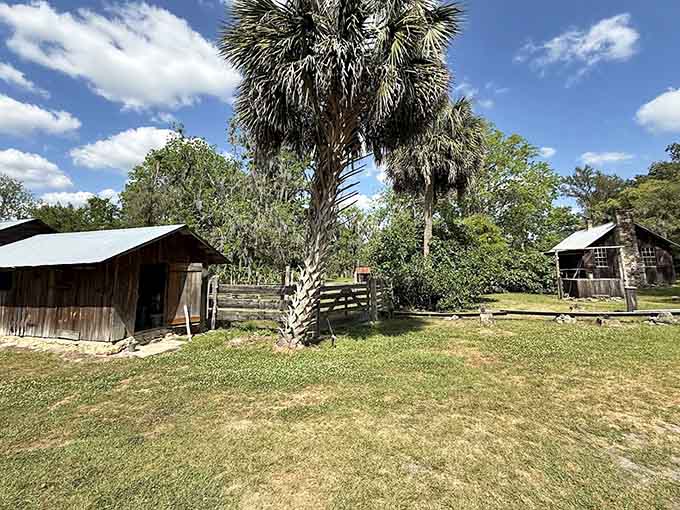 Rustic buildings standing proud under Florida sunshine, looking exactly like your great-grandparents' vacation photos come to life.