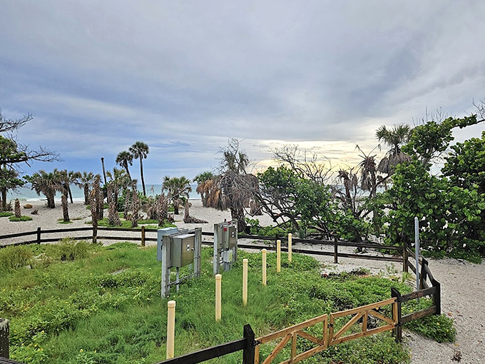 Where coastal wilderness meets thoughtful preservation – native vegetation thrives alongside minimal infrastructure at this natural beach park.