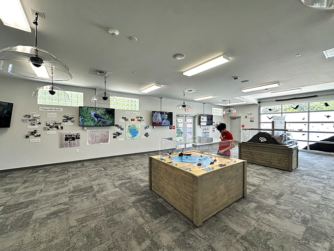 The Eco Education Center transforms learning into adventure, where understanding wetland restoration feels less like homework and more like discovering secrets.