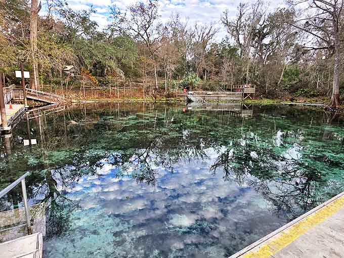 The spring's crystal waters reveal an underwater world so clear you'll swear someone's been down there with a vacuum cleaner.