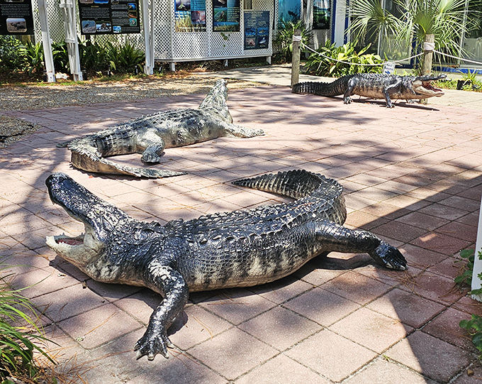 These fiberglass gators provide photo opportunities without the risk of becoming an unfortunate news headline about Florida wildlife encounters.
