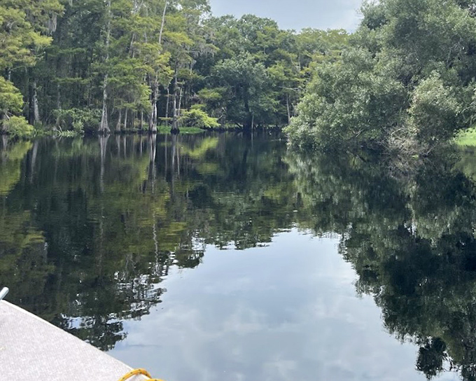 Mirror, mirror on the creek &ndash; where sky meets water in such perfect harmony even clouds stop to admire themselves.