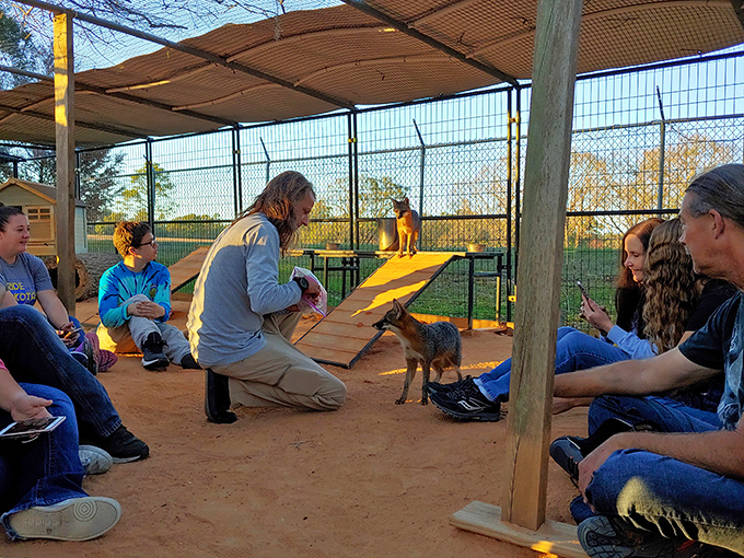 Visitors gather in rapt attention as a small fox becomes the star of an impromptu educational session about native wildlife.