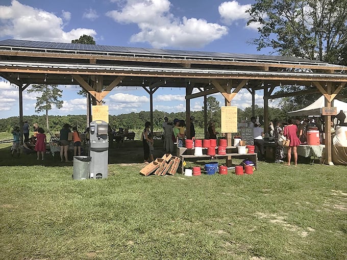 The solar pavilion serves as community central, where sunshine powers both the farm's operations and human connections.