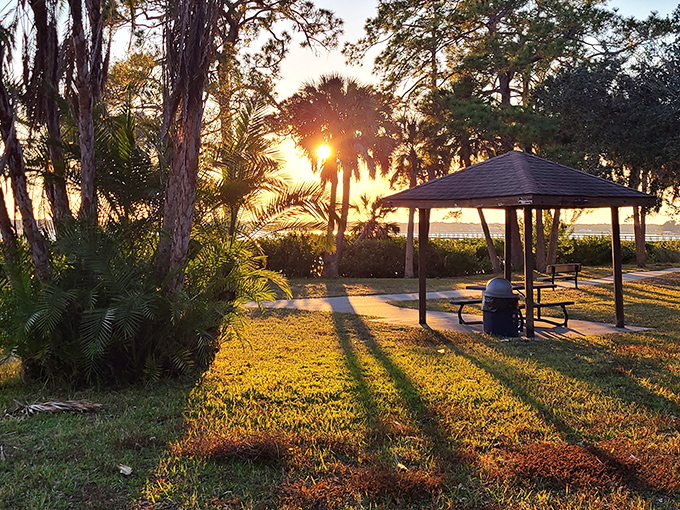 Nature's dining room where sandwiches taste better and conversations flow easier than they do indoors.