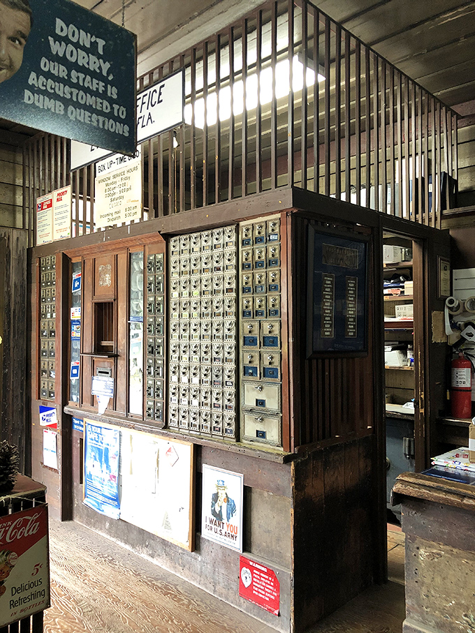 Not just mailboxes but time capsules, each compartment has held joy, sorrow, bills, and birthday cards for generations of Evinston residents.