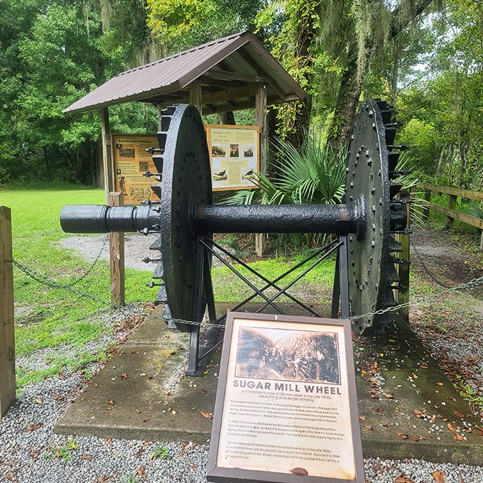 Industrial-strength history! This massive sugar mill wheel once harnessed spring power long before Instagram-worthy selfies were a thing.
