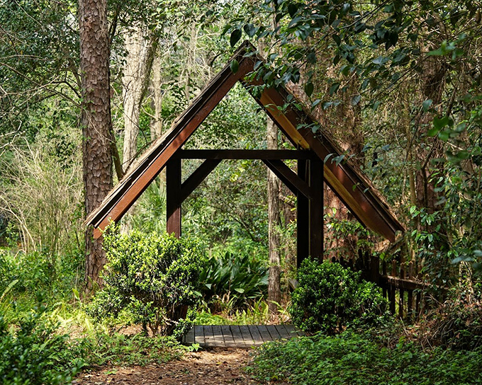 Morning light filters through the trees, illuminating this enchanted woodland sanctuary hidden in Tallahassee's urban landscape.