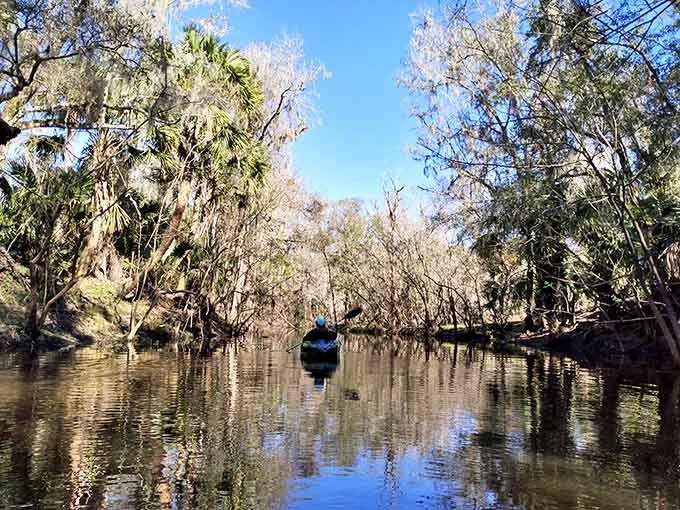 Kayaking through these waterways feels like exploring a secret world where the fish are friendlier and your paddling technique matters less than your sense of adventure.
