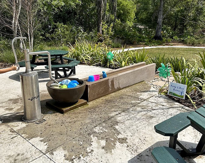 Interactive water features let kids experiment with flow and physics while cooling off, because the best science lessons involve getting completely soaked.