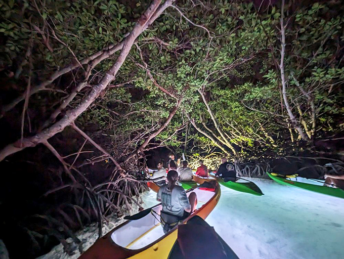 Night kayaking adventure: Paddlers gather in a secret mangrove alcove, headlamps creating a constellation of light as they listen to tales of the ecosystem.