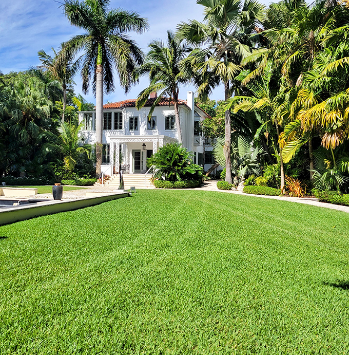 The elegant Norton House stands proudly amid its palm-studded grounds, a Mediterranean Revival jewel in West Palm Beach's crown.