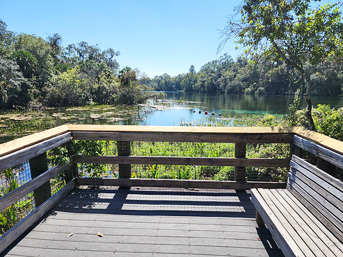 The observation deck offers prime viewing of the surrounding wetlands, where you can watch nature's daily drama unfold without actually having to wade through the swamp yourself, which seems like a fair trade.