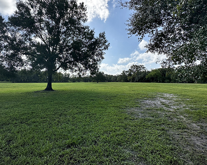 Open Green Field: A carpet of green unfurls beneath Florida's blue sky, offering the perfect picnic spot with a view that's part Sunshine State, part medieval fantasy.