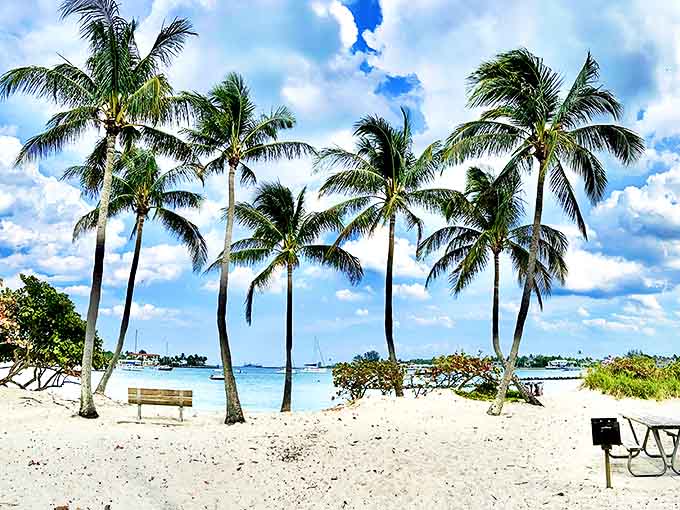 Palm trees frame this postcard-perfect beach view, creating nature's version of an exclusive resort without the exclusive prices.