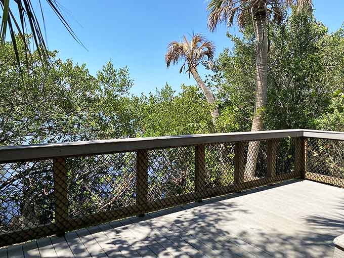 The boardwalk extends over wetlands, offering front-row seats to nature's daily drama without getting your feet wet.