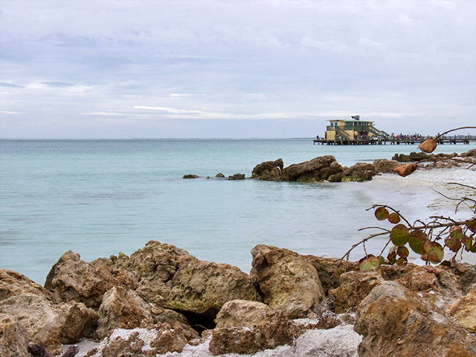Rocky Shoreline Nature's artistic side revealed in this rugged meeting of land and sea, where every tide reshapes the canvas.