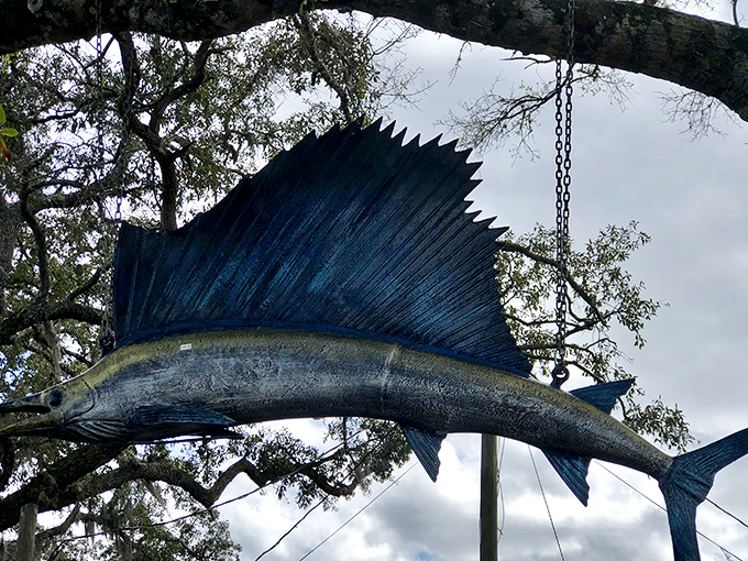 This sailfish looks ready to leap back into imaginary waters &ndash; the perfect catch for anglers who prefer their trophies maintenance-free.