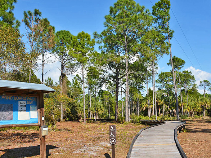Educational stroll: This accessible boardwalk path makes wilderness wandering possible for adventurers of all abilities.