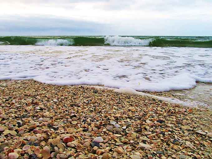 A treasure hunter's dream where the ocean delivers new collections of shells with each tide, no gift shop required.