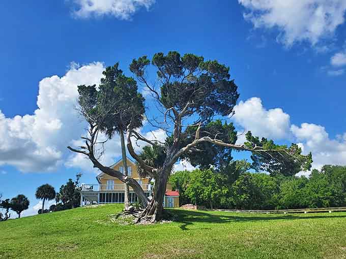 The Seminole Rest Historic Site offers something increasingly rare: a chance to experience Florida as it existed long before anyone thought to develop it.