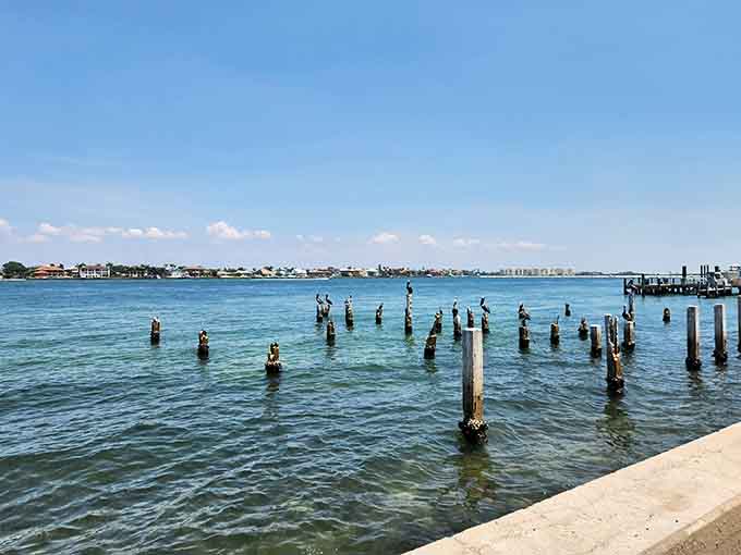 The view from the dock proves that sometimes the journey to paradise is almost as beautiful as the destination itself.