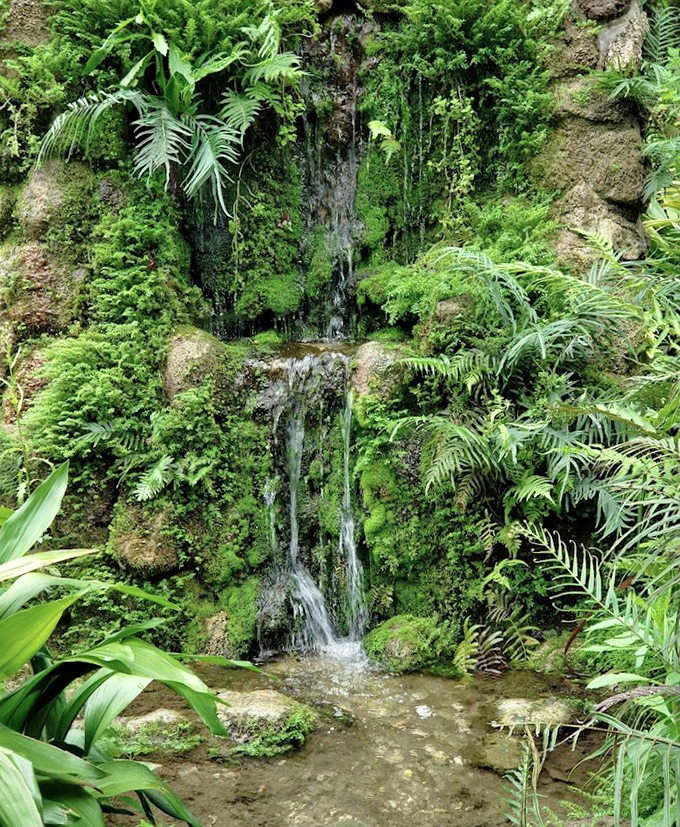 Moss-draped ferns frame a gentle waterfall, creating a fairy-tale setting that feels worlds away from Florida's beaches and highways.