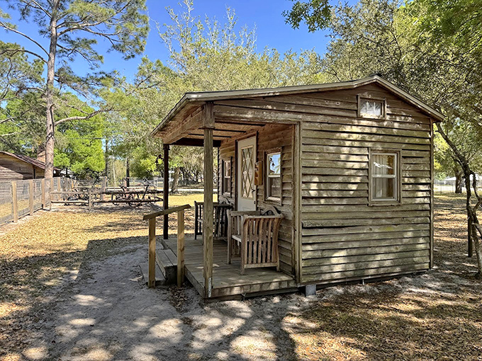 8. small pioneer cTiny cabin, enormous history! This humble structure housed dreams, hardships, and the kind of pioneer grit that makes modern inconveniences seem laughably trivial.abin