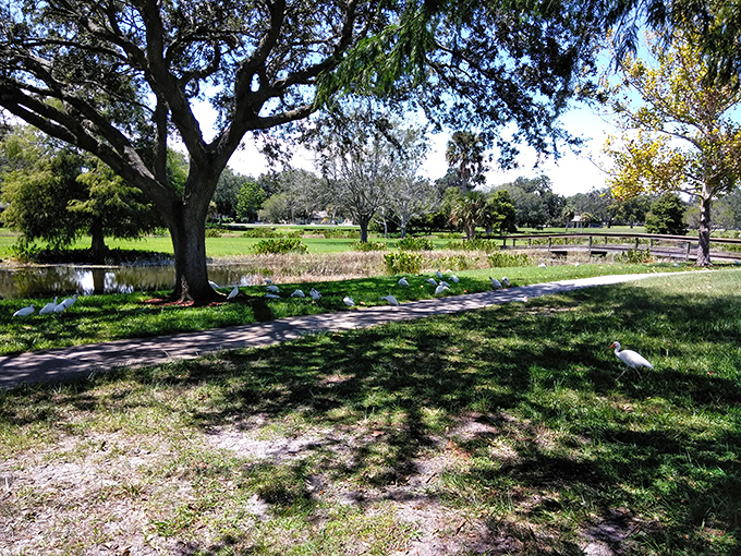 Summer's embrace is never more perfect than under the dappled shade of ancient oaks, where the breeze carries whispers of old Florida.