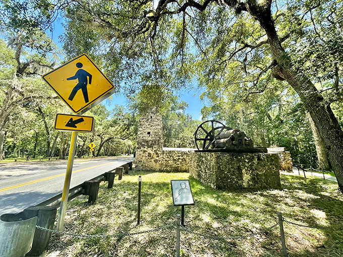 Sunshine filters through ancient oaks, creating a dappled light show across weathered stones and verdant Florida landscape.