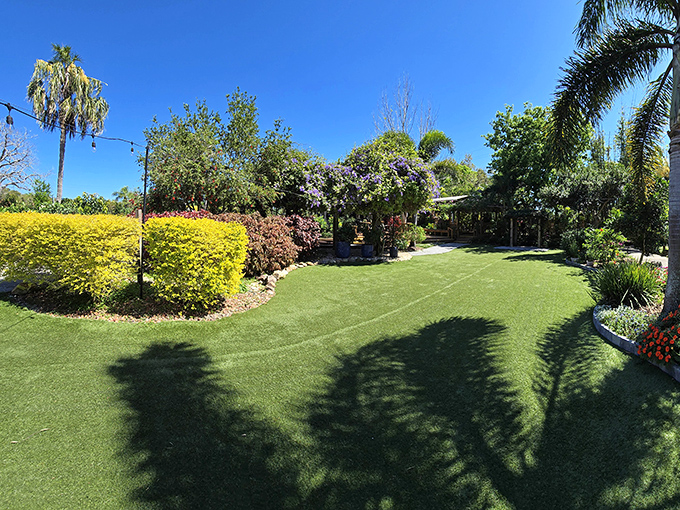 The central lawn invites lingering with its perfect curves, strategic plantings, and the promise of magical moments under string lights.