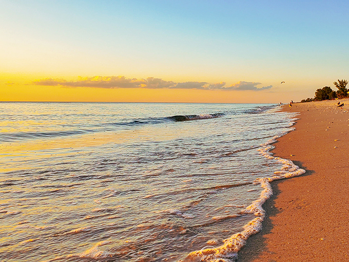 Mother Nature's nightly masterpiece paints the Gulf in liquid gold, turning ordinary moments into memories that last forever.