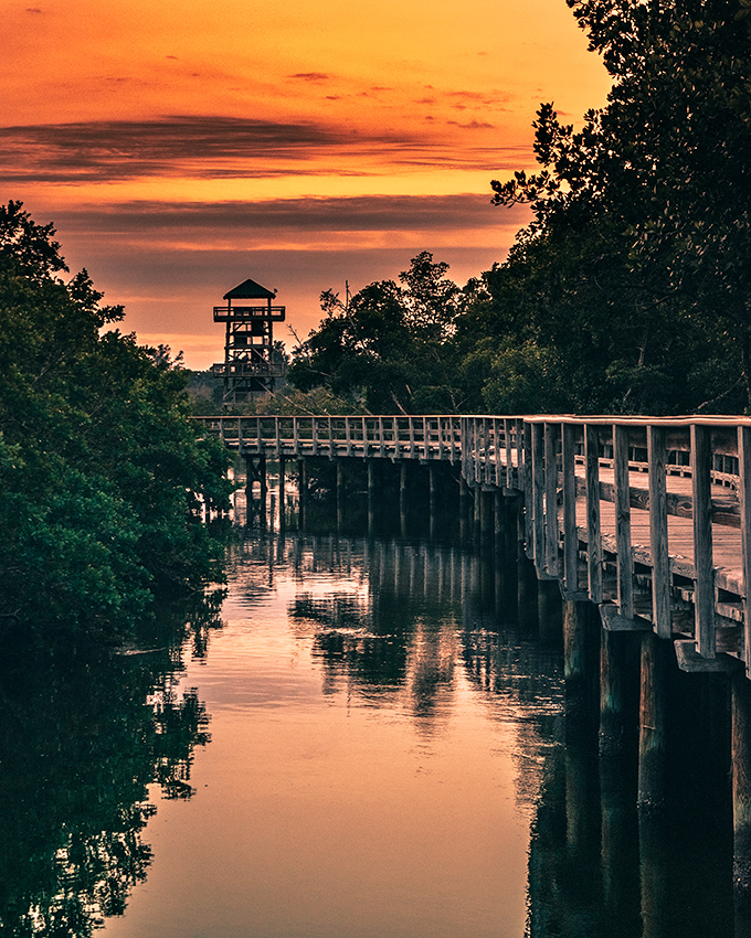 Sunset transforms the preserve into a painting of orange and purple hues. Even the most jaded Floridians pause to appreciate this daily spectacle.