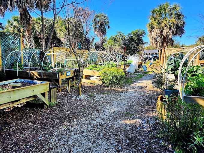 Behind the hotel, a community garden grows fresh ingredients, connecting the restaurant's kitchen directly to the earth in the most delicious way possible.