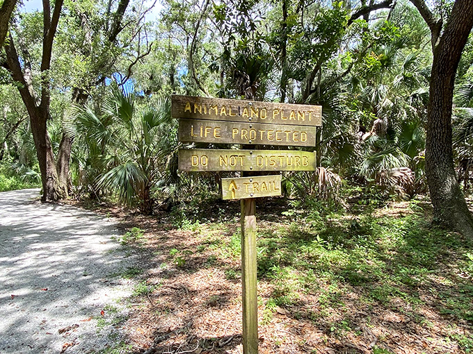 "Animal and Plant Life Protected" &ndash; a gentle reminder that we're guests in this wild space, treading lightly on nature's domain.
