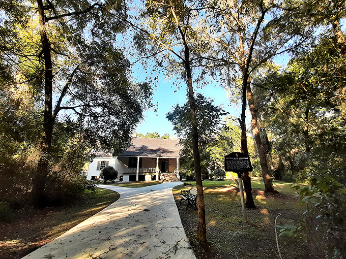 Mother Nature's cathedral &ndash; towering trees create a natural sanctuary around the historic property, their branches heavy with Spanish moss.