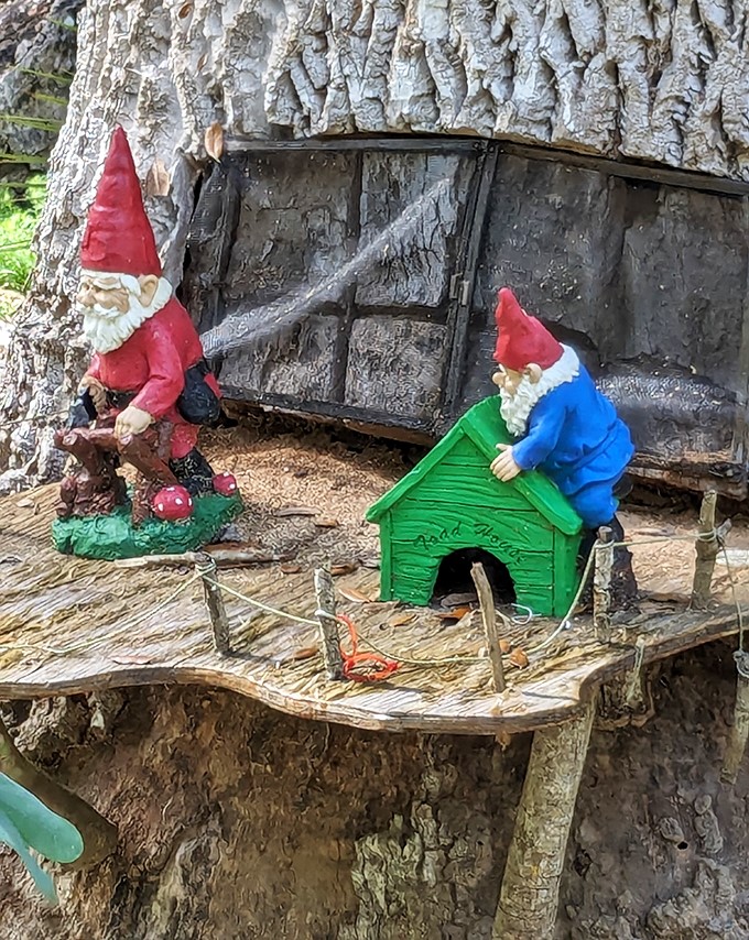 Two gnomes hanging out by their tiny house like they're about to discuss property values in the tree trunk real estate market, which is apparently very competitive these days.