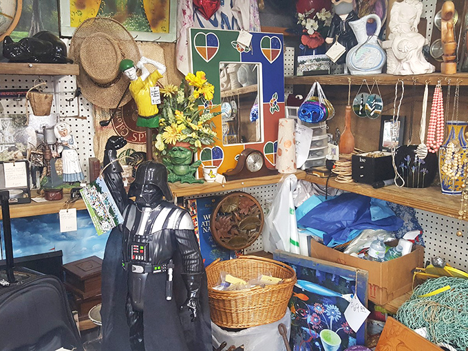 Darth Vader stands guard over an eclectic collection that would make even the most organized hoarder feel a twinge of envy.