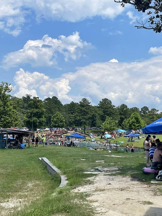 Visitors enjoying Florida's version of social distancing &ndash; spread across grassy banks with colorful umbrellas creating a festival-like atmosphere.