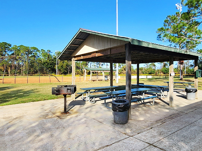 Wadsworth Park provides shaded picnic areas where the only decision more difficult than what to eat is how long to nap afterward.