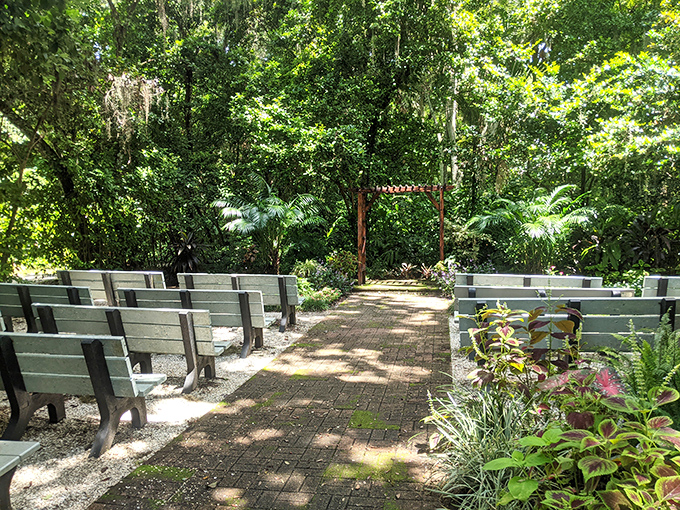 Love blooms among the ruins at this charming wedding venue. Couples exchange vows beneath a canopy of oak and history, with prehistoric witnesses standing silently by.